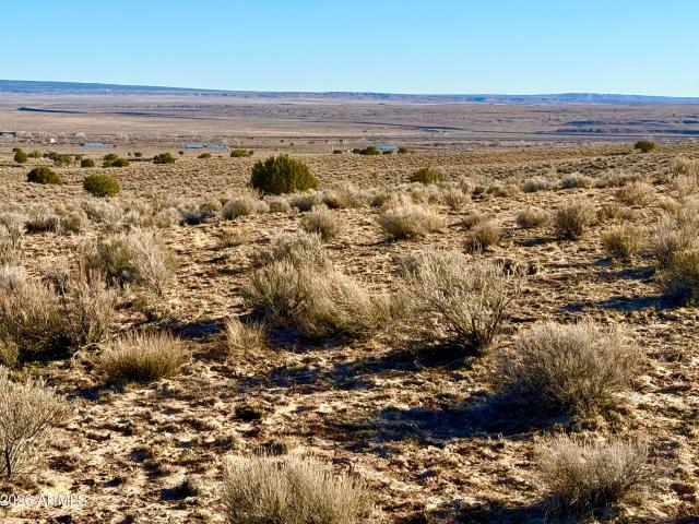 0 n7009 40 Acres, Chambers, AZ 86502 | MLS #6981 | Compass