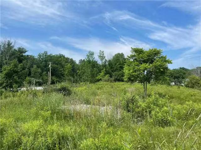 0 NUNDA DANSVILLE ROAD, DANSVILLE, NY 14437 Vacant Land For Sa.