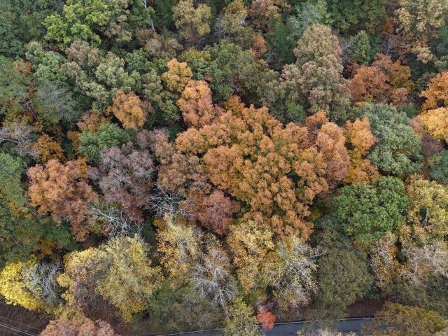 0 NW Lower River Rd, Georgetown, TN 37336 | MLS #1330