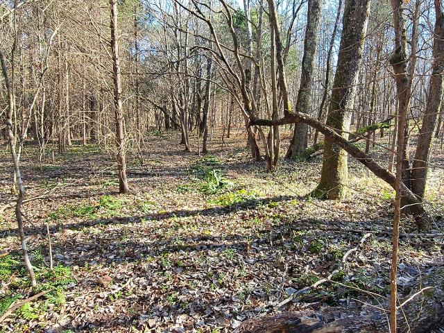 0 NW Piney Road