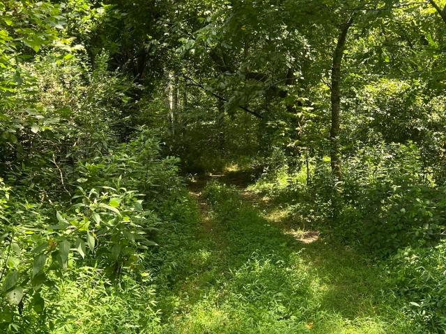 0 N Corinth Rd