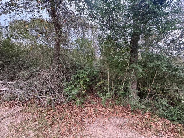 0 N Bonnie Lake Dr, Hempstead, TX 77445 | MLS #58030