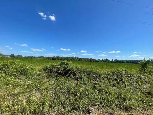 0 N KINGS HWY LOT 13, SUMTER, SC 29154 Vacant Land For Sale M.