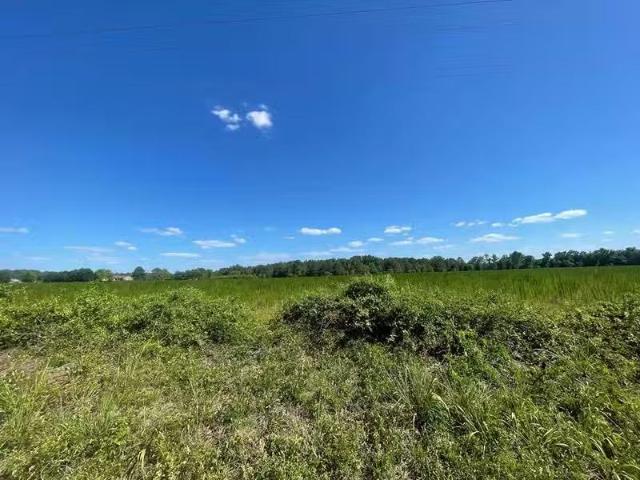 0 N KINGS HWY LOT 14, SUMTER, SC 29154 Vacant Land For Sale M.