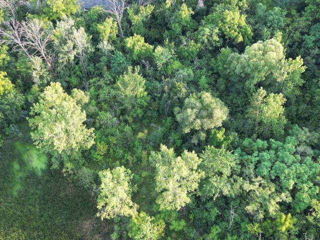 0 N Hainesville Road