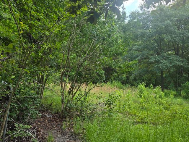 0 N Hampton Lot 2 Street