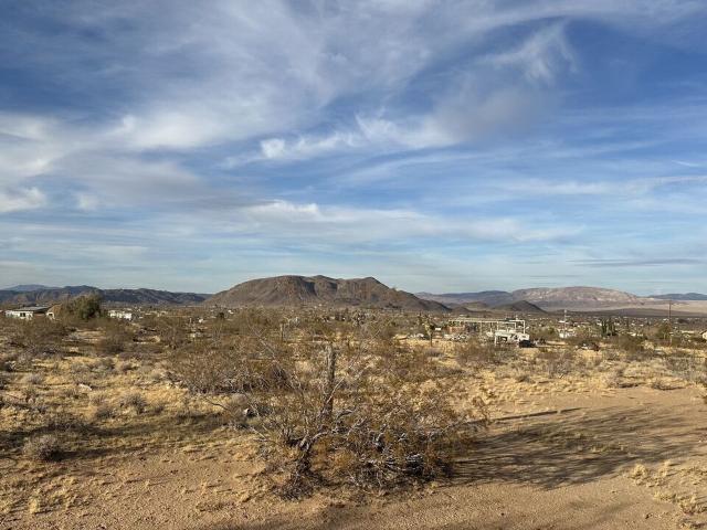 0 N Inez Ave, Landers, CA 92285 | MLS #24 466
