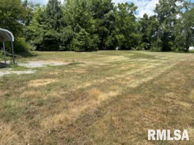 0 N Il Hwy, Bonnie, IL 62816 | MLS #458791