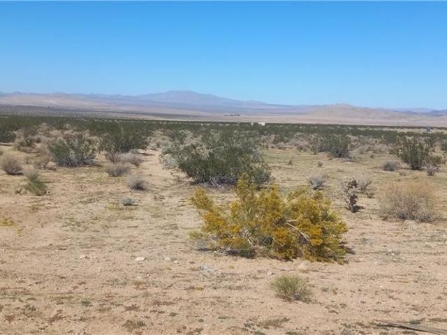 0 N Joshua Tree