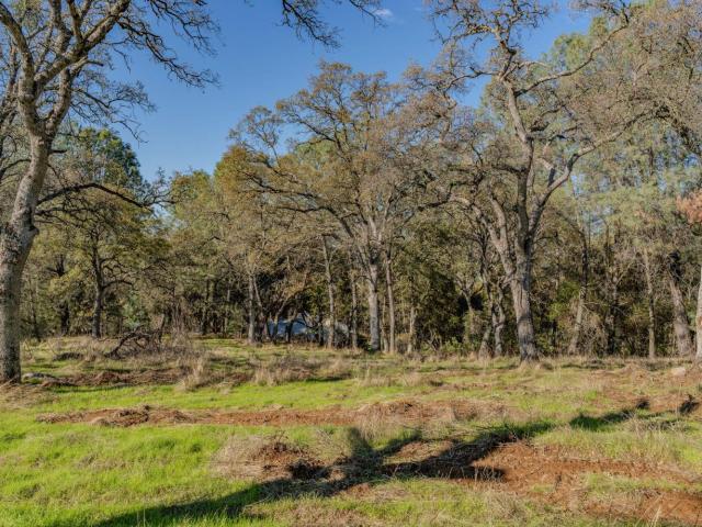 0 N Oak Ridge Cir, El Dorado, CA 95623 | MLS #225146