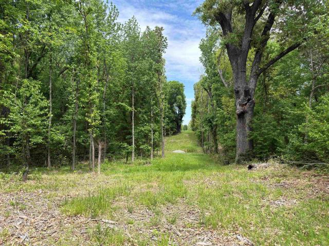 0 N Osborntown Rd, Unit 120, Arlington, TN 38002 | MLS #10219