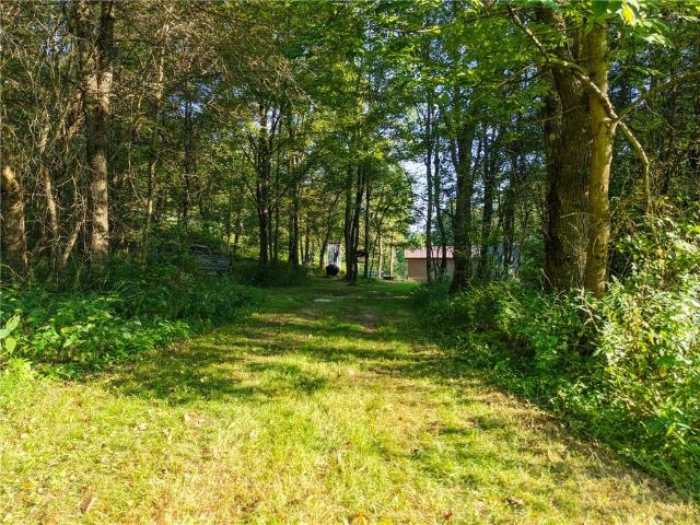0 N Loop Rd, Dayton, PA 16222 | MLS #1716 | Compass