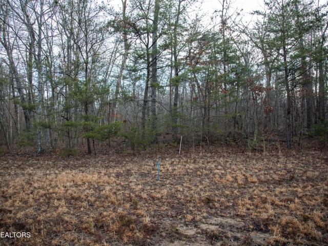 0 N Laurel Loop Lot 15
