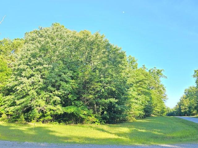 0 N Laurel Loop