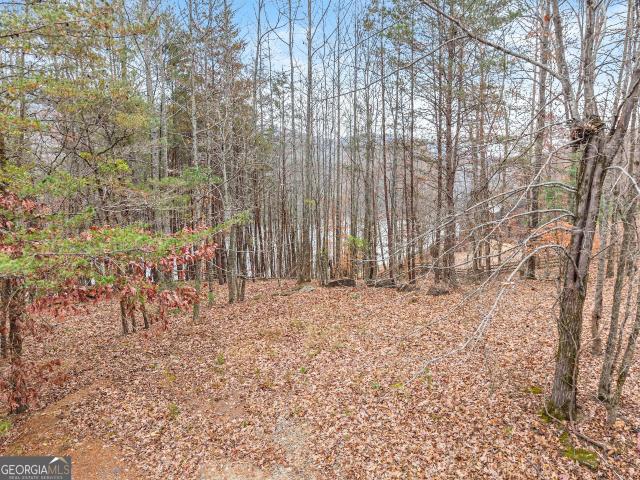 0 N Laceola Rd, Cleveland, GA 30528 | MLS #10648 | Compass