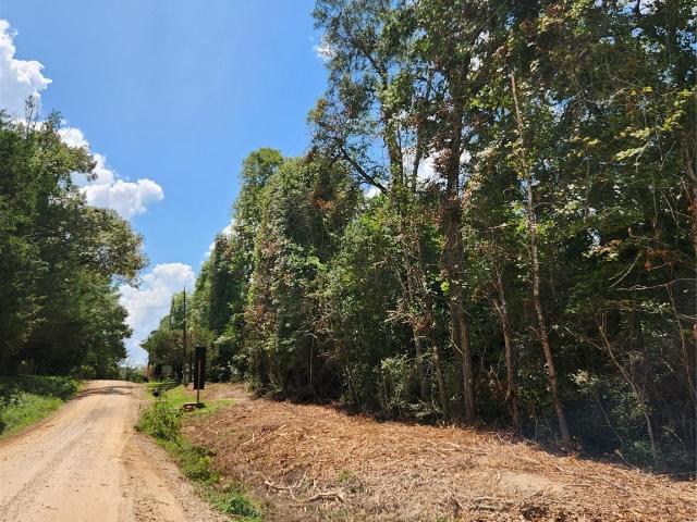 0 N Lincoln Wiggins St, Livingston, TX 77351 | MLS #84427 | Compass