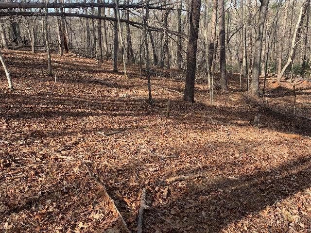0 N Lynch Rd Mill Spring SW, Mill Spring, NC 28756 | MLS #4119