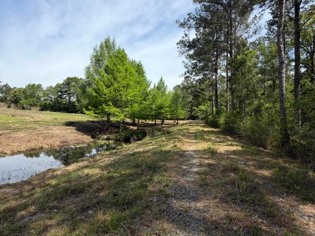0 N Neely Avera Rd, Neely, MS 39461 | MLS #4148