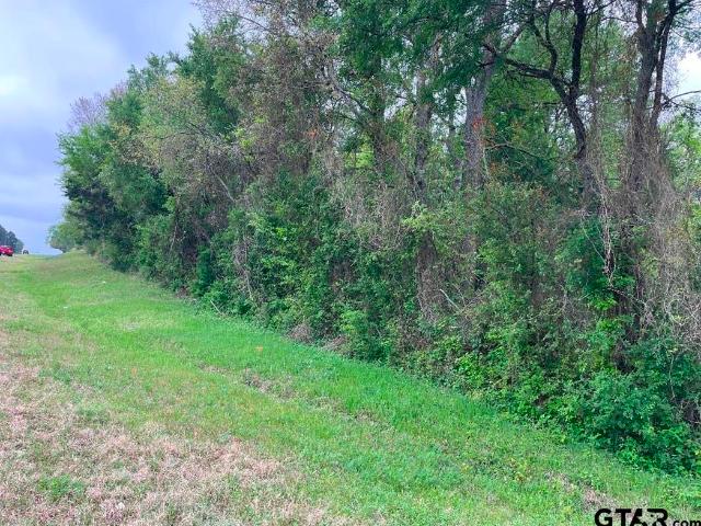 0 N State Hwy, Palestine, TX 75803 | MLS #26004 | Compass