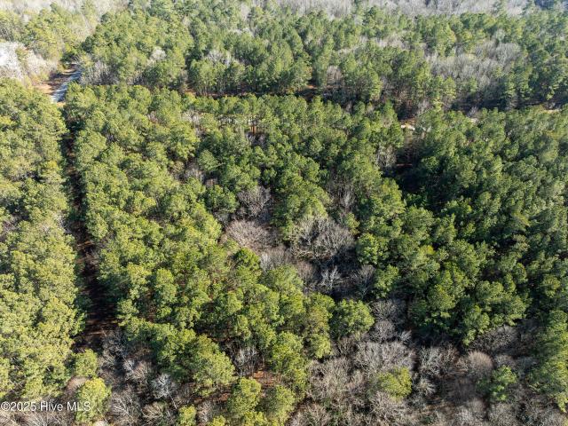 0 N State Ln, Rockingham, NC 28379 | MLS #100482