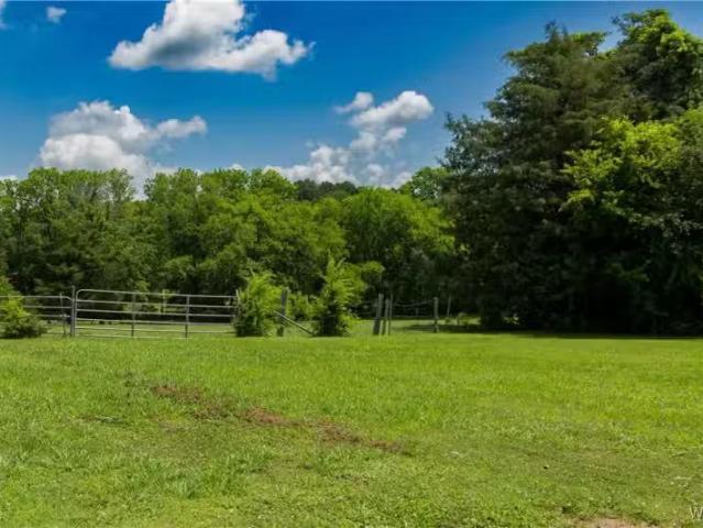 0 N WASHINGTON STREET, LIVINGSTON, AL 35470