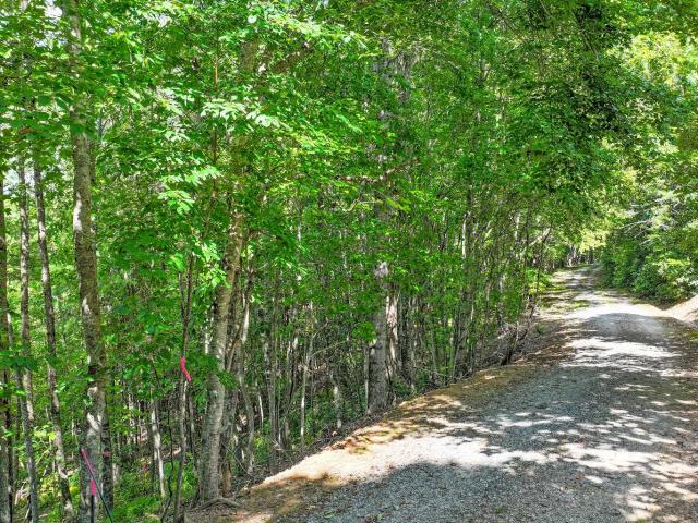 0 N View Dr, Mineral Bluff, GA 30559 | MLS #327586