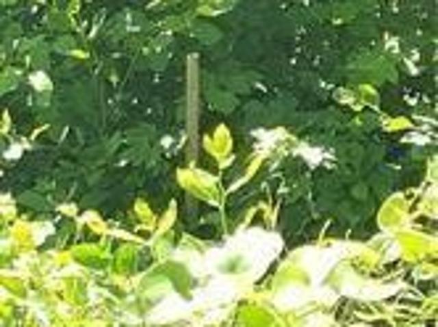 0 Narragansett Road