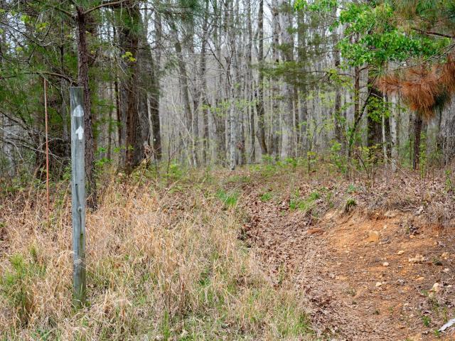 0 Natchez Trace Rd