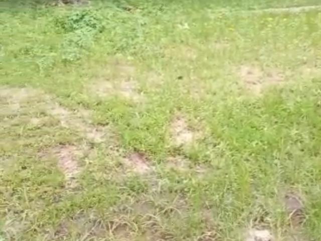 0 Natchez Trail