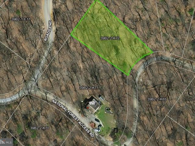 0 National Forest Access Rd, Luray, VA 22835 | MLS #VAPA2006