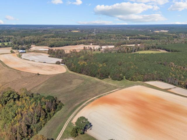 0 Nc 43, Whitakers, NC 27891 | MLS #100539