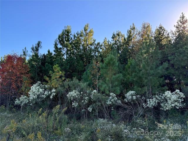 0 NE Connector Byp, Albemarle, NC 28001 | MLS #4240 | Compass