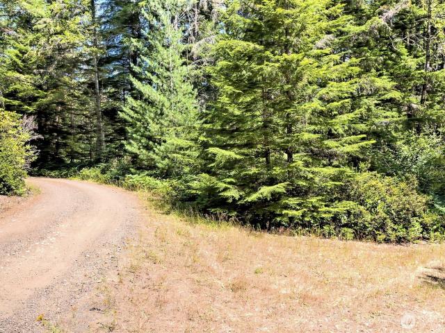 0 NE Eagle Creek Lane