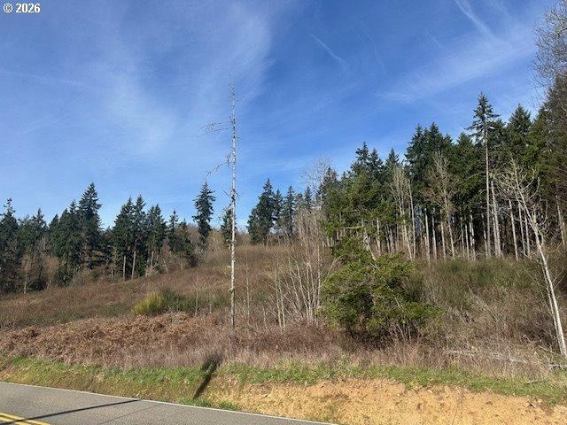 0 NE Jenny Creek Road