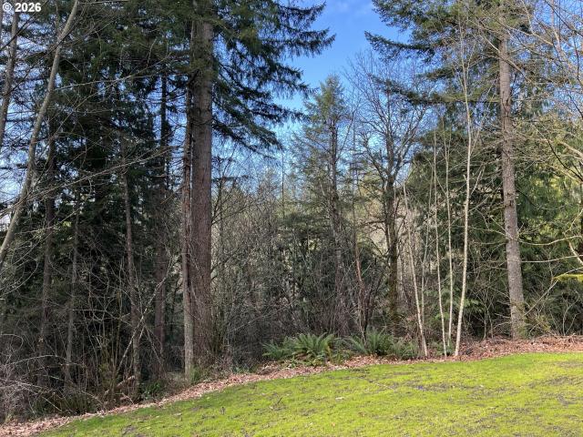 0 NE Schauer Dr, Battle Ground, WA 98604 | MLS #319346 | Compass