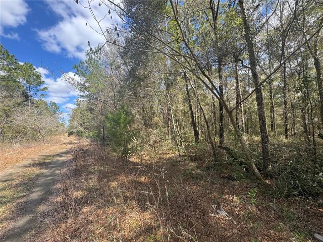 0 NE 154 Ave, Williston, FL 32696 | MLS #OM717131