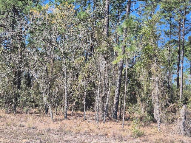 0 NE 137th Ave, Williston, FL 32696 | MLS #OM720451 | Compass