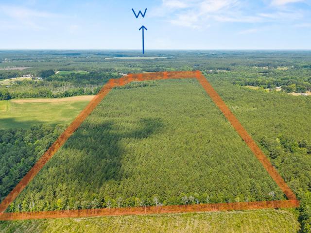 0 Near 8944 Chauncey Town Rd