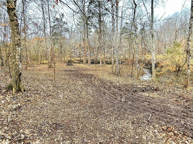 0 Needmore Rd, McMinnville, TN 37110 | MLS #2691