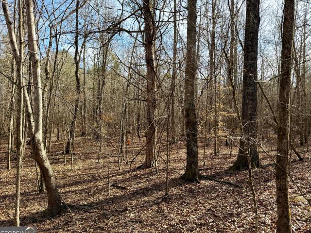 0 Neely Rd, Sharpsburg, GA 30277 | MLS #10691