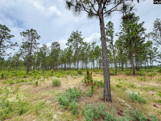0 Neely Wingard Road Lot 11