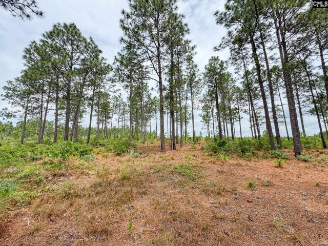 0 Neely Wingard Road Lot 2