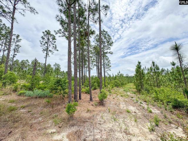 0 Neely Wingard Road Lot 7