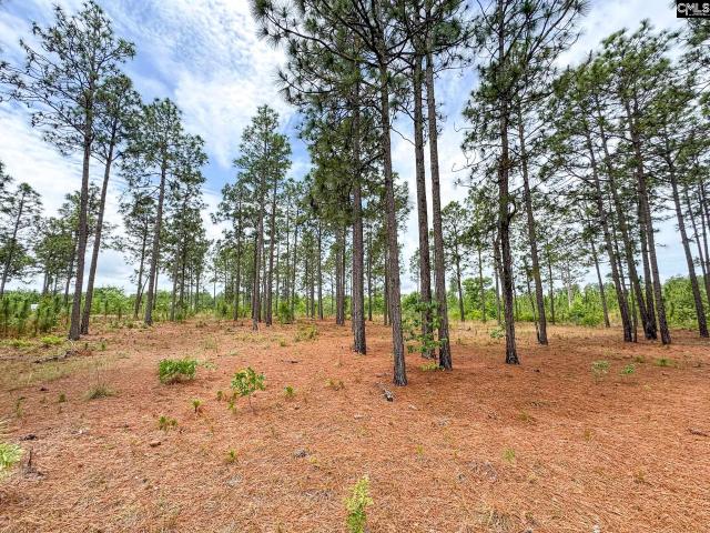 0 Neely Wingard Road Lot 4