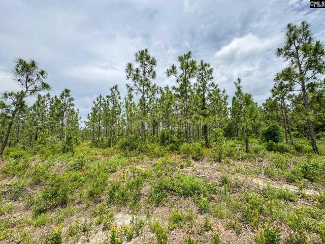 0 Neely Wingard Road Lot 8