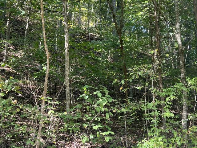 0 neeley creek rd