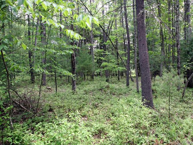 0 Neighborhood Rd, Shirley, NY 11967 | MLS #971617 | Compass