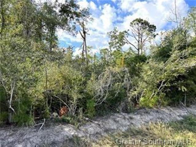 0 Nelson Rd, Lake Charles, LA 70605 | MLS #SWL24005