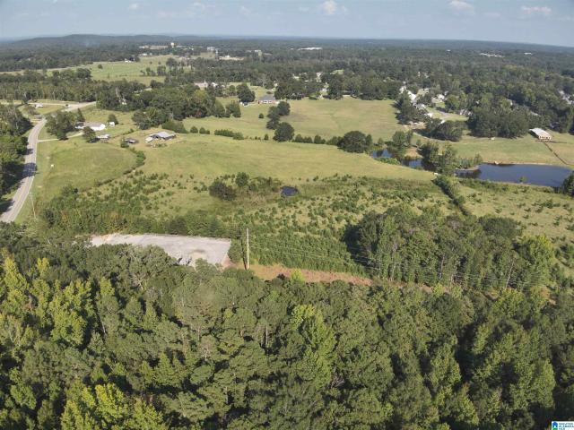 0 New Harmony Road # 35 acres +/