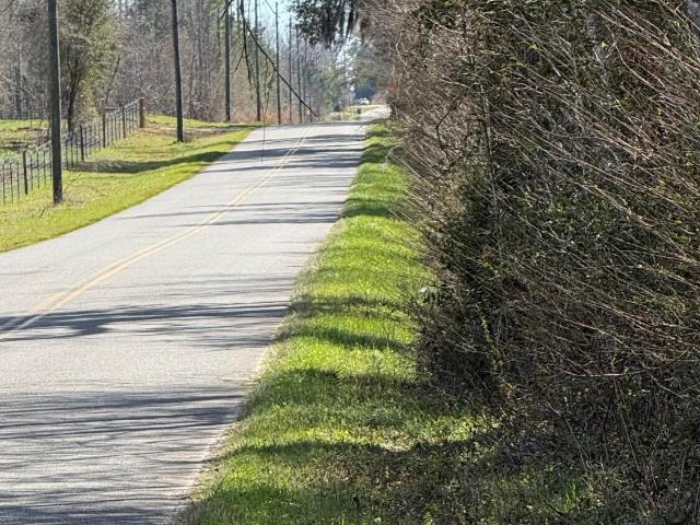 0 New Hope Rd, Marianna, FL 32448 | MLS #785731